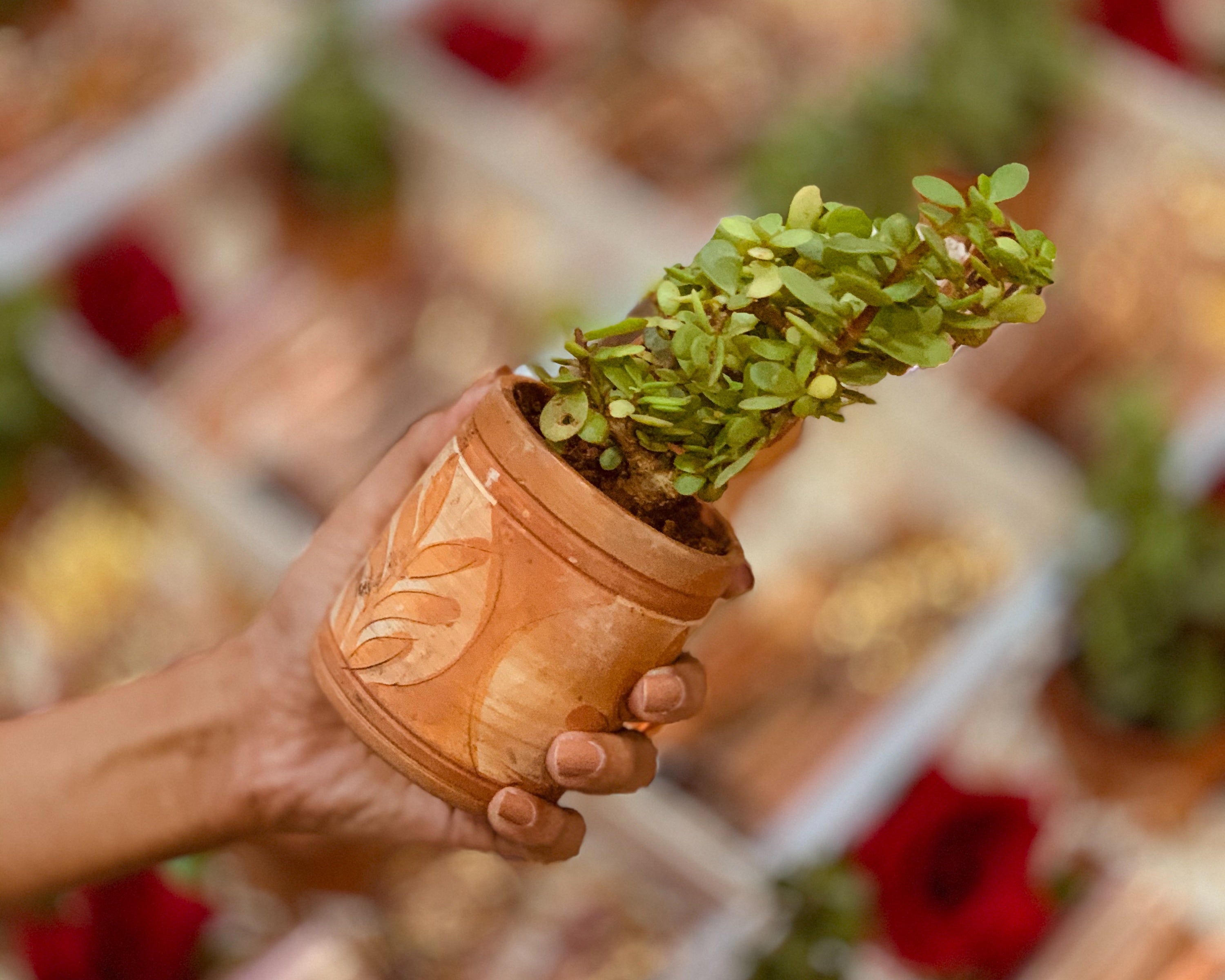 The One Before Lockdown! – Fluorescent Studios | Your Personal Gifting ...